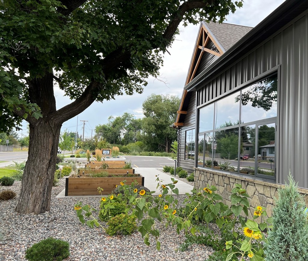 Projects – Legends Studio